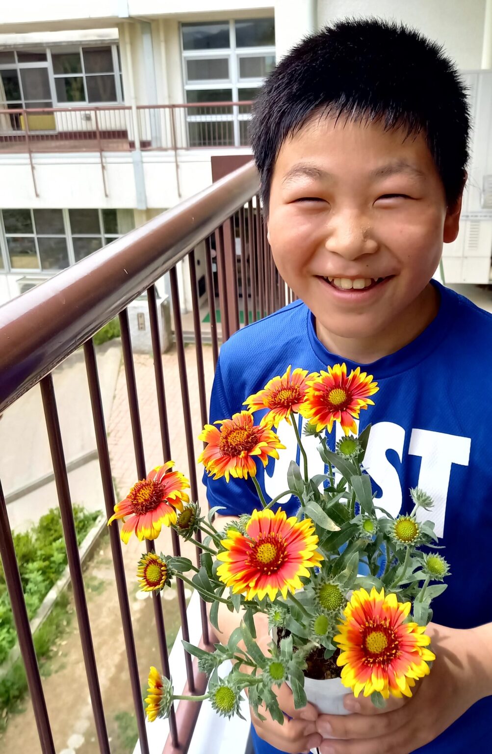 Gojo Elementary School – International School of Nagano