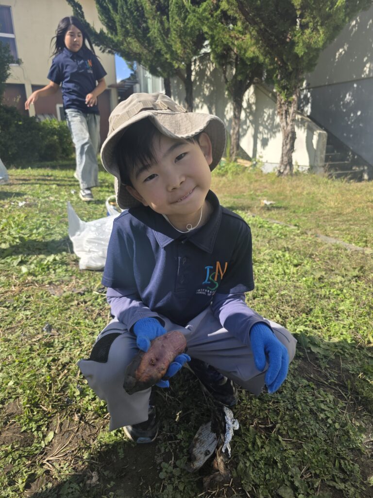 Grade 2’s Sweet Potato Experience! – International School of Nagano