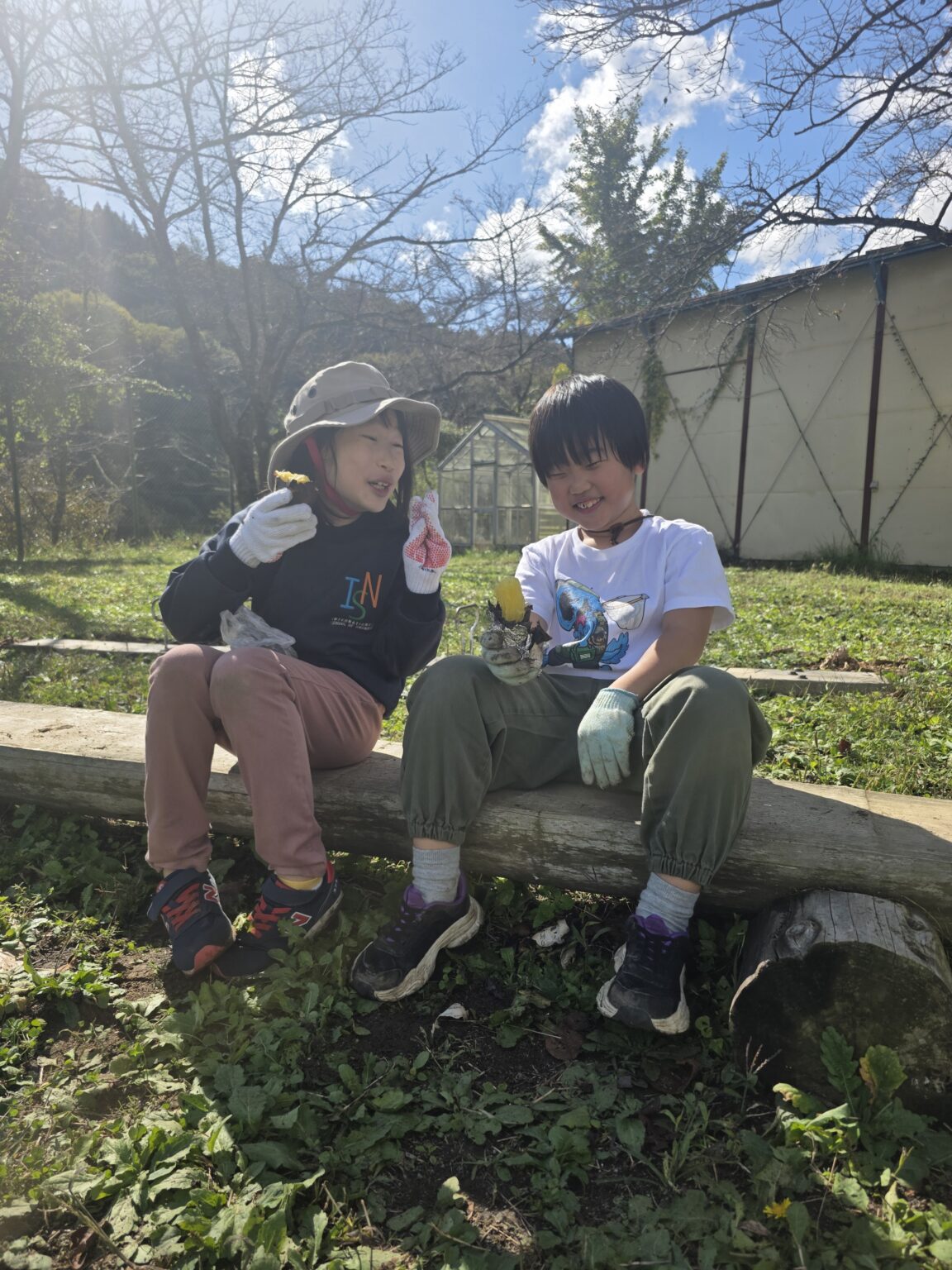 Grade 2’s Sweet Potato Experience! – International School of Nagano