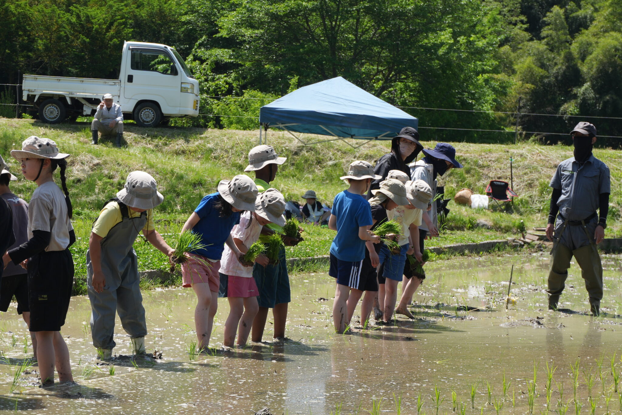 Rice planting things, grade 1! – International School of Nagano