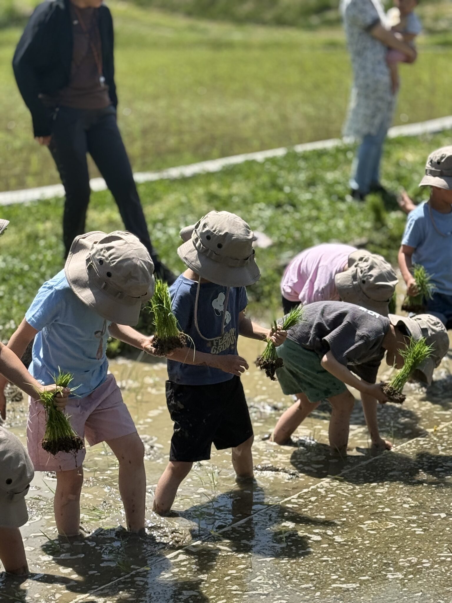 Rice planting things, grade 1! – International School of Nagano